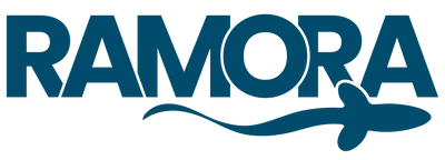 iPhone 16 cases! | RAMORA Australia