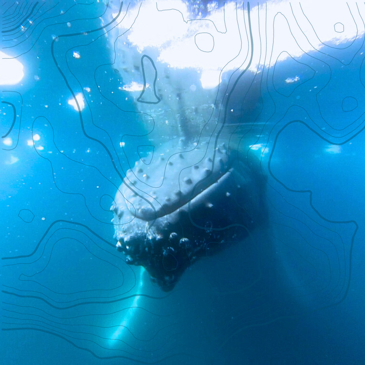 Our Story | RAMORA Australia